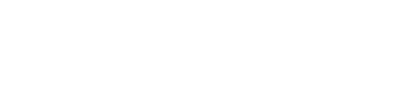 Our flagship strategies - Individual Investors